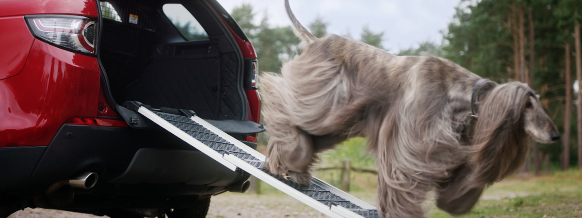 LAND ROVER’S FIVE-STAR DOG-FRIENDLY PET PACKS | Land Rover Media Newsroom