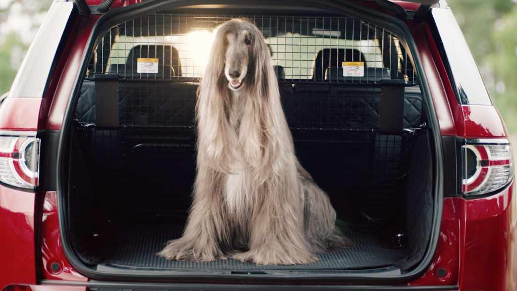 LAND ROVER ANNOUNCES DOG-FRIENDLY PET PACKS | Land Rover Media Newsroom