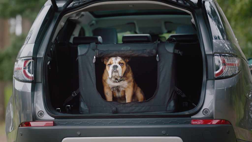 LAND ROVER’S FIVE-STAR DOG-FRIENDLY PET PACKS | JLR Media Newsroom