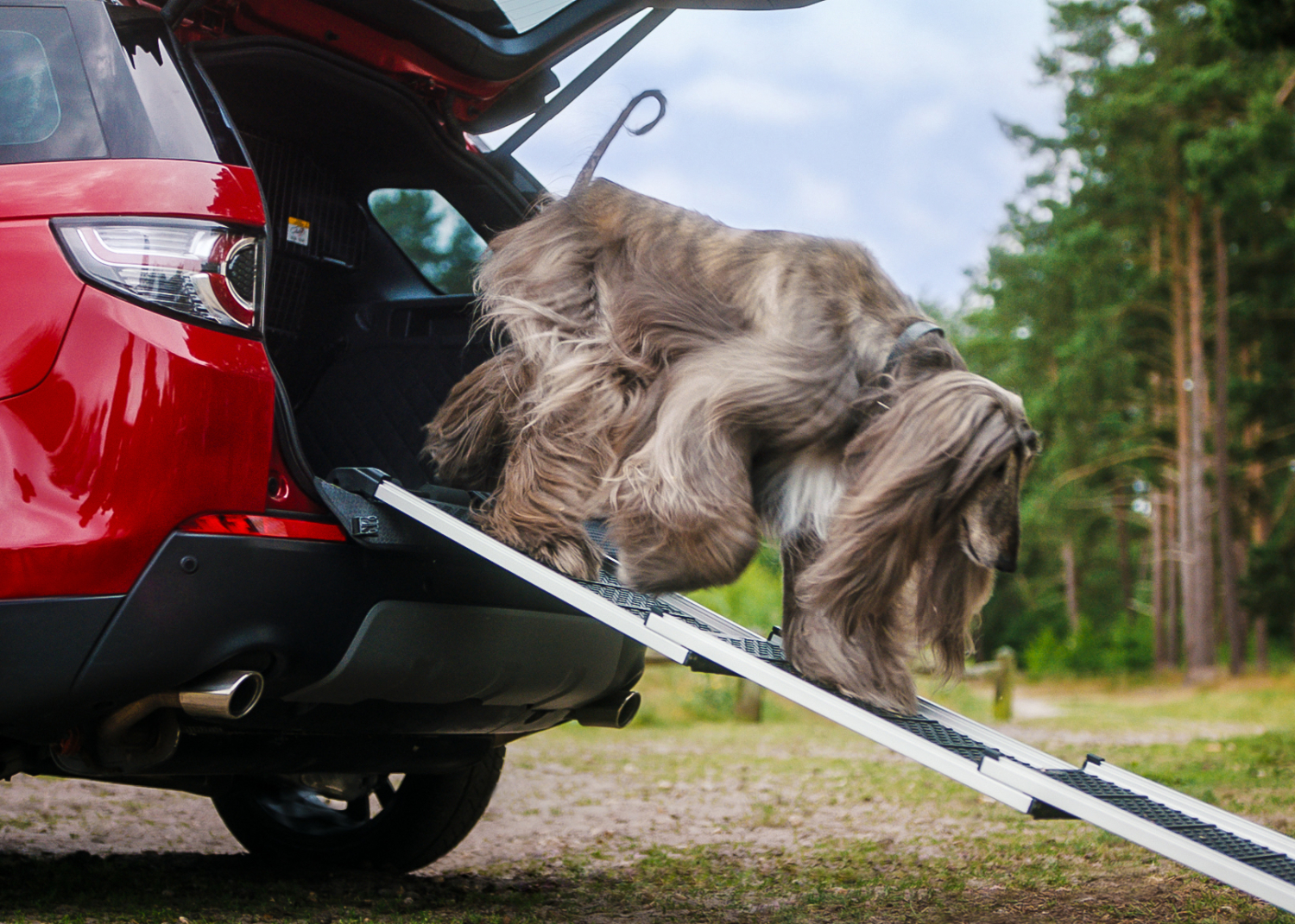 LAND ROVER ANNOUNCES DOG-FRIENDLY PET PACKS | Land Rover Media Newsroom